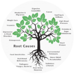 Welcome To The Center for Functional Health - Functional Medicine ...