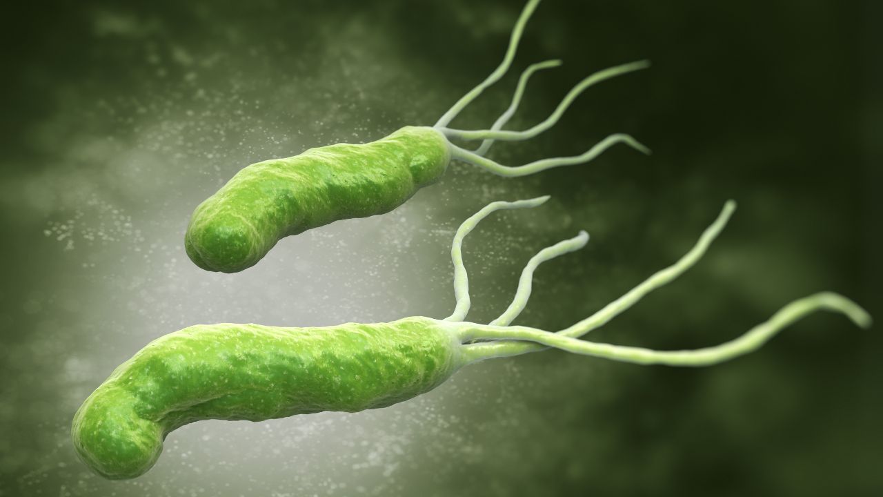 Your Stomach Issues May Be Due to This Tiny Parasite - The Center for ...