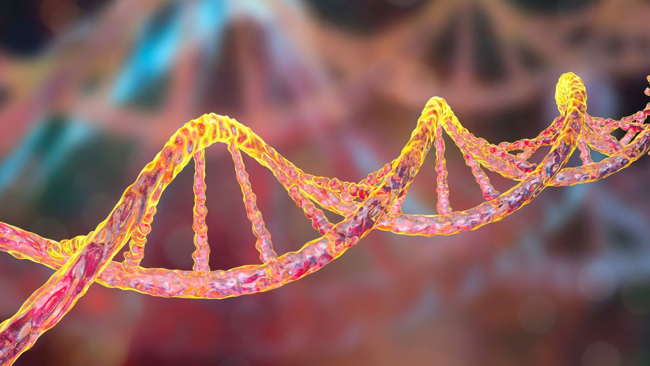 The Role of Genes and Environment in Autoimmunity - The Center for ...
